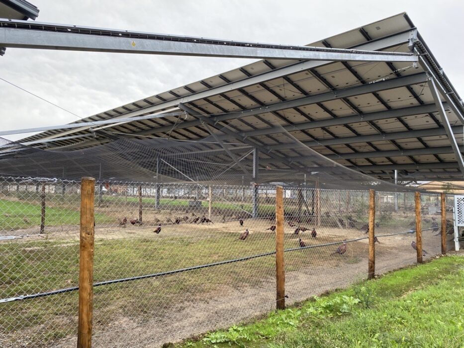 Volière photovoltaïque - Bouaye (44) - Technique Solaire